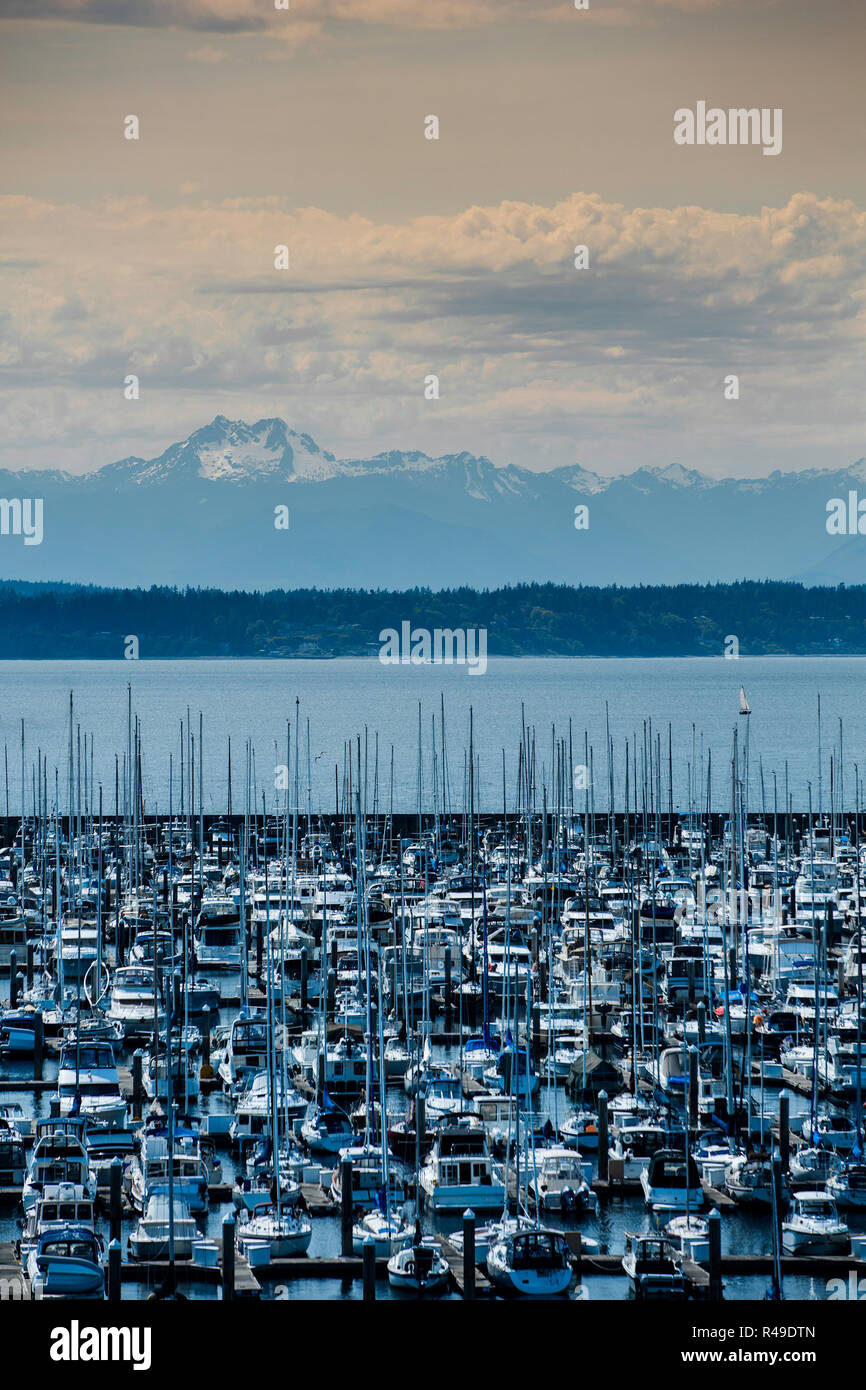 Olympic Mountain Range from Seattle Shore Stock Photo - Alamy