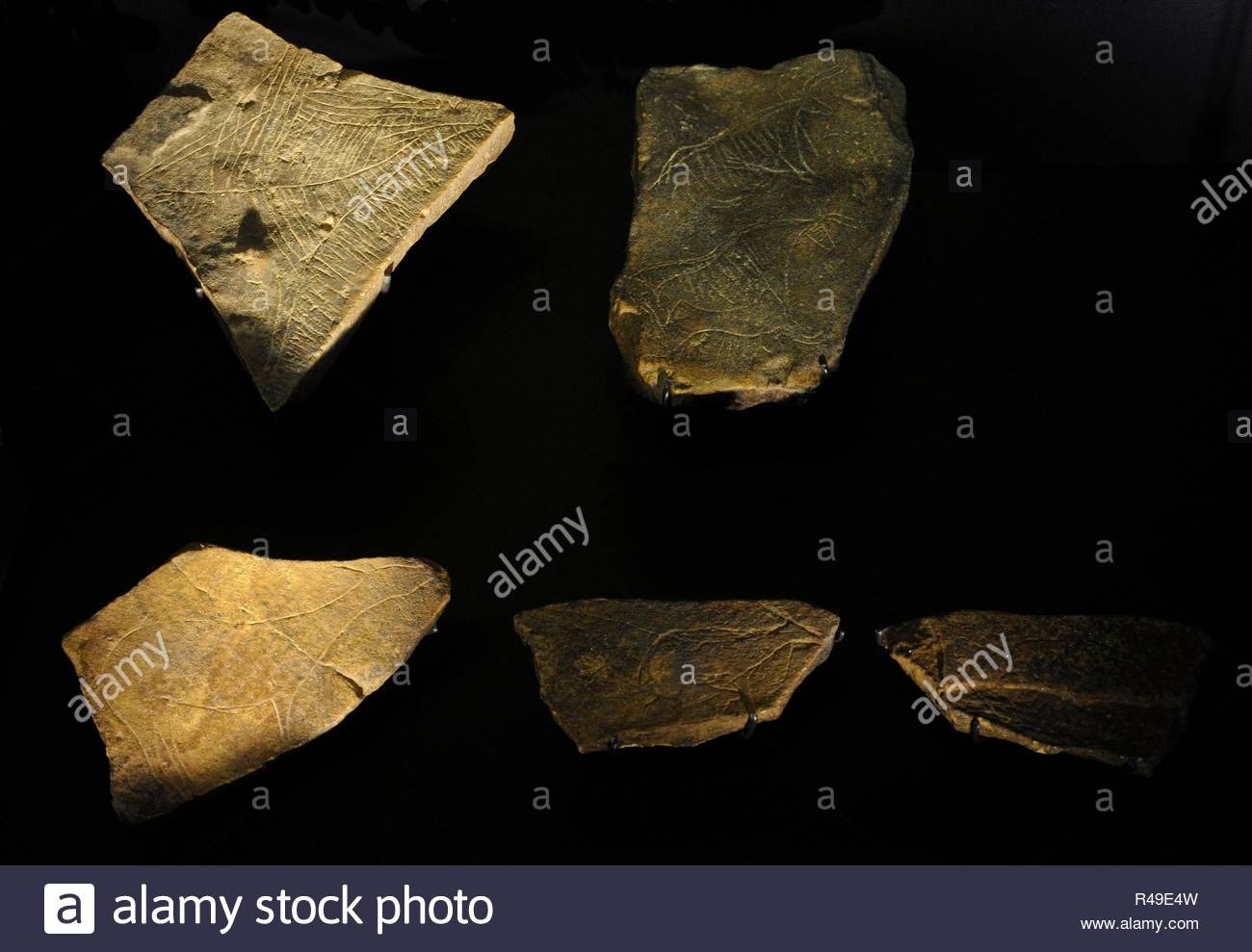 Magdalenian Art Stock Photos & Magdalenian Art Stock Images - Alamy