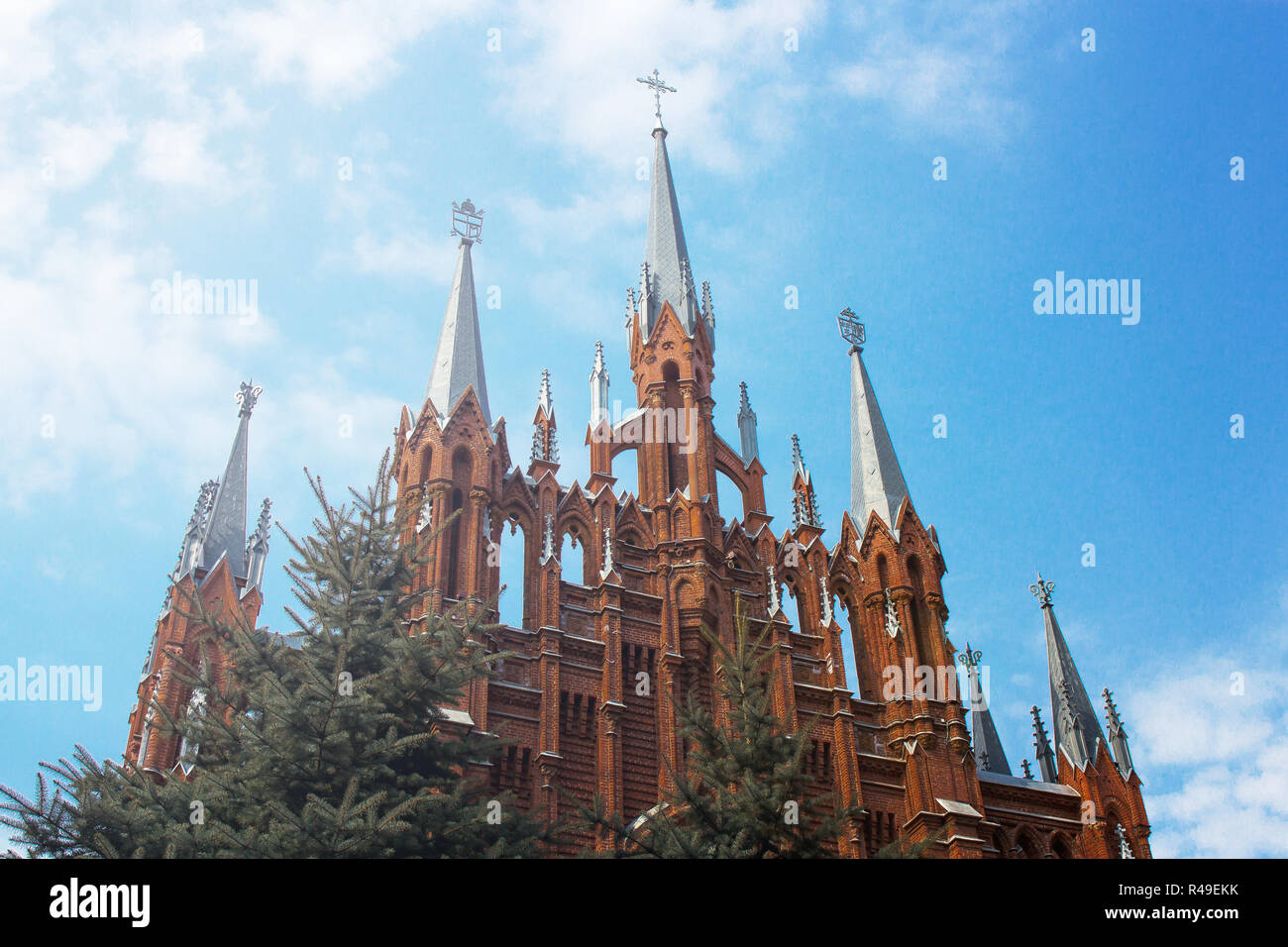 Cathedral of the Immaculate Conception of the Blessed Virgin Mary in ...