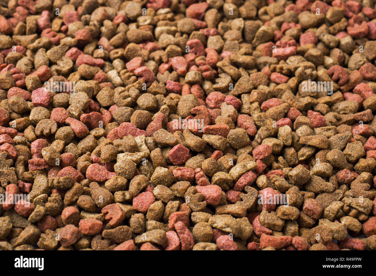 Dry cat food. Full population. Background of the granules Stock Photo ...