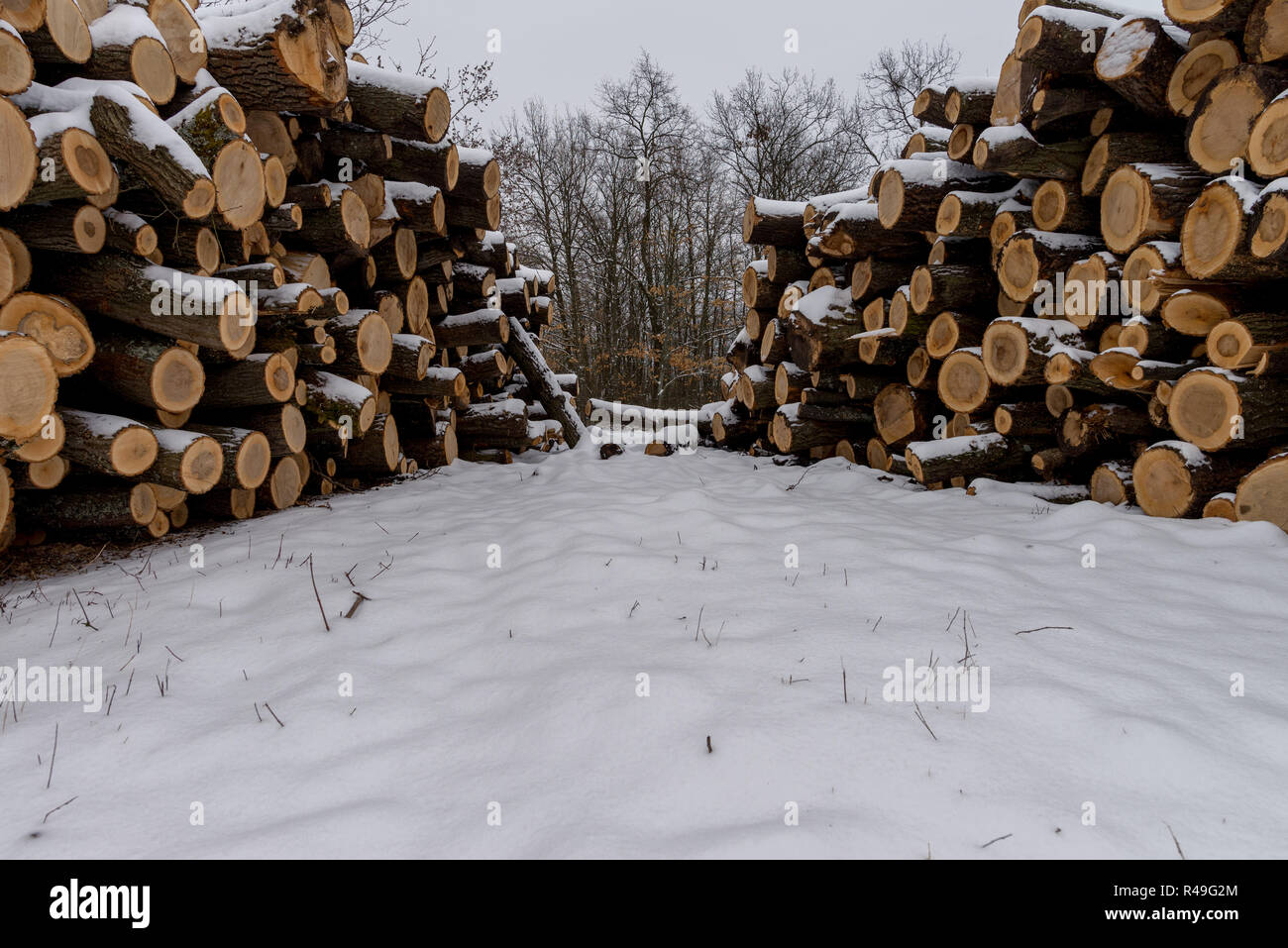 Wood background snow wood texture hi-res stock photography and images ...