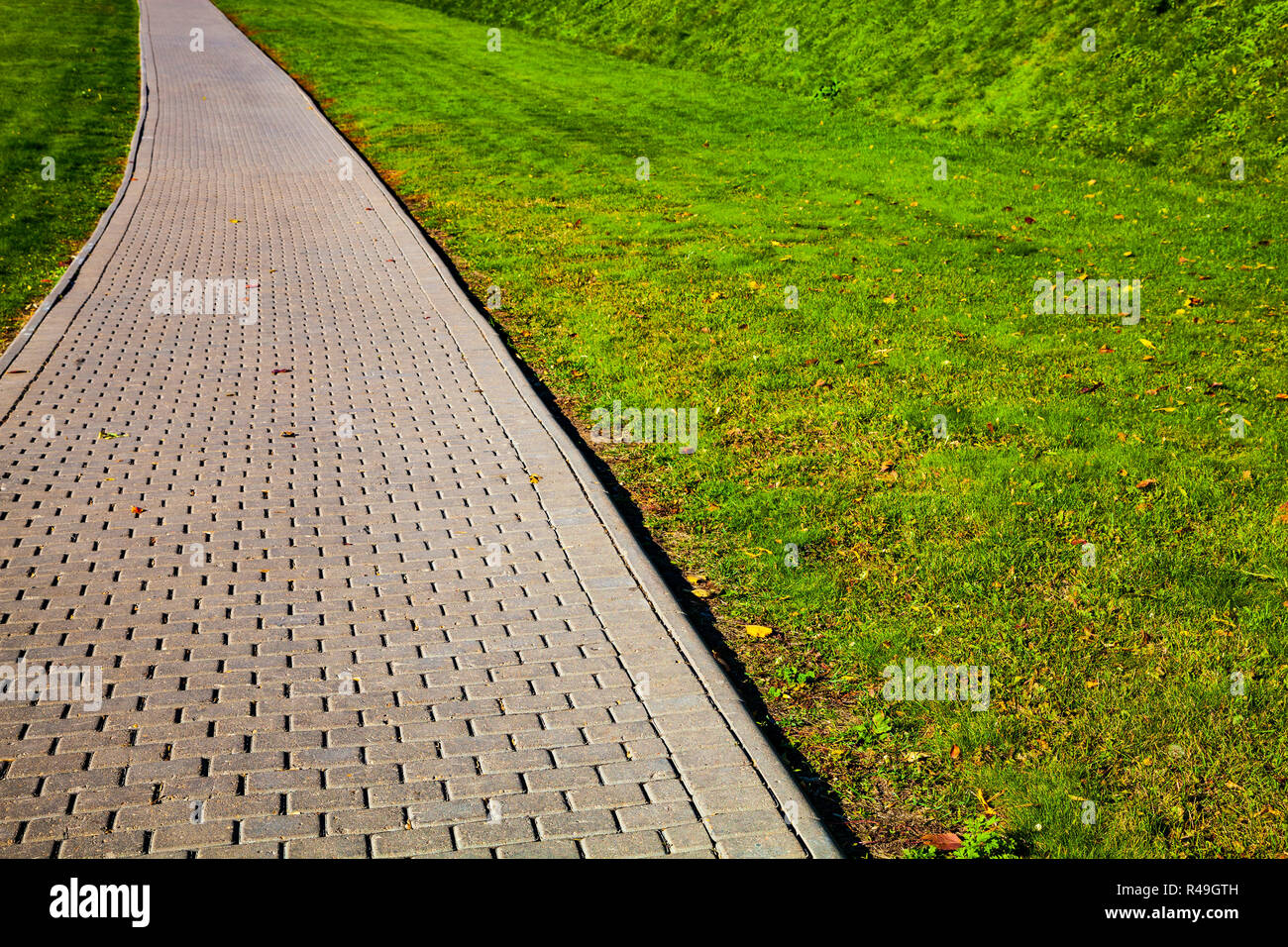 Stone path in the park and green lawn. Beautiful summer city park for ...