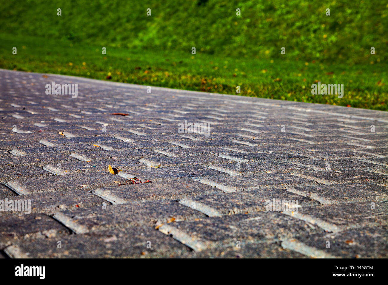 Stone path in the park and green lawn. Beautiful summer city park for ...