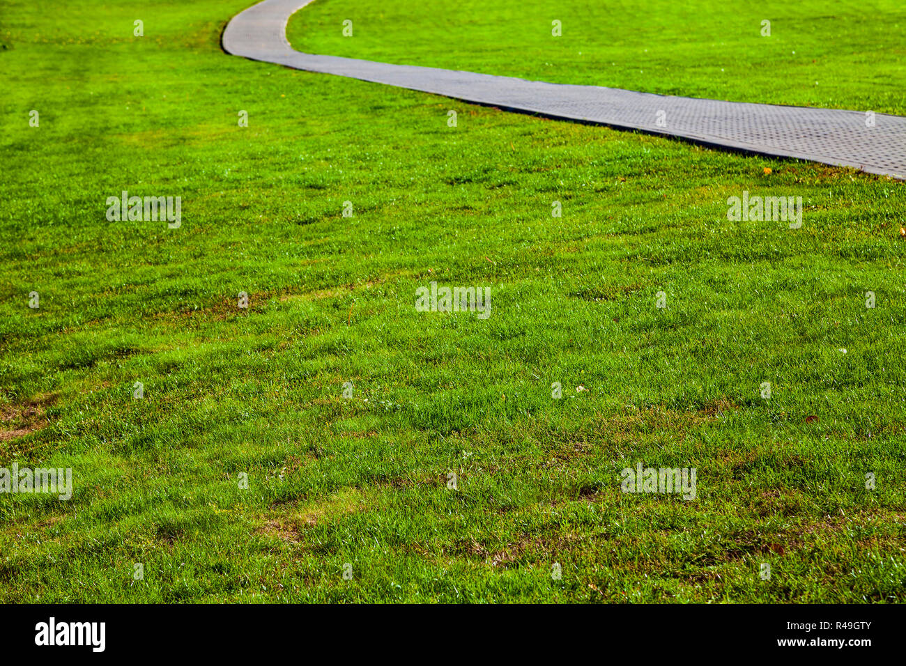 Stone path in the park and green lawn. Beautiful summer city park for ...