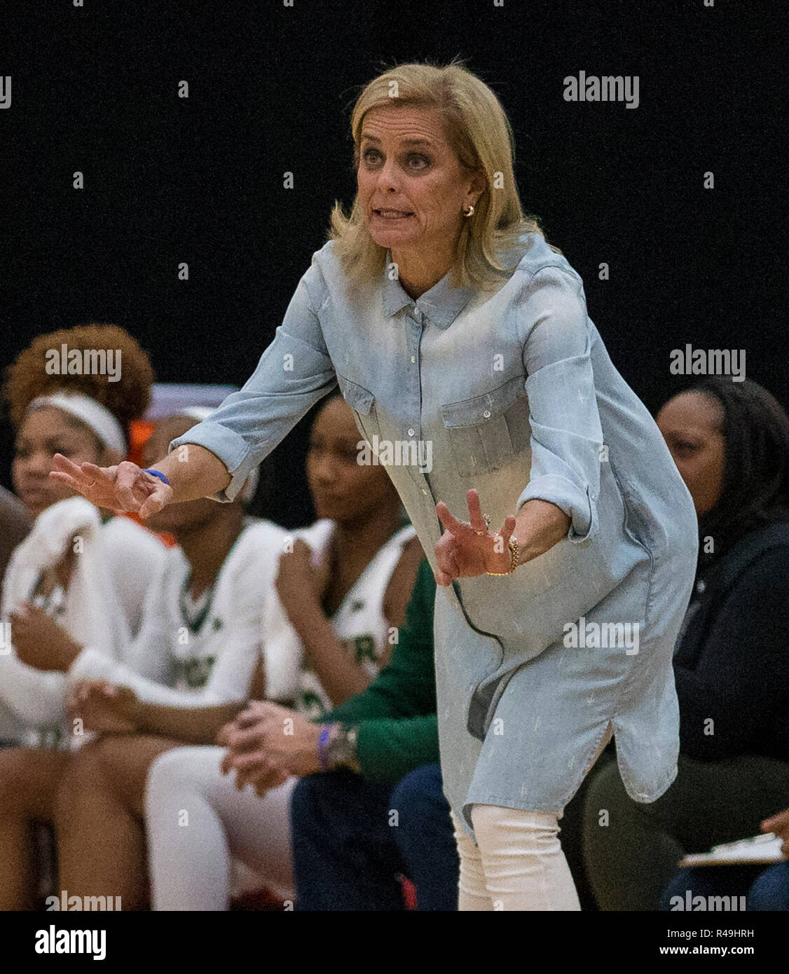 Baylor bears head coach kim hi-res stock photography and images - Alamy