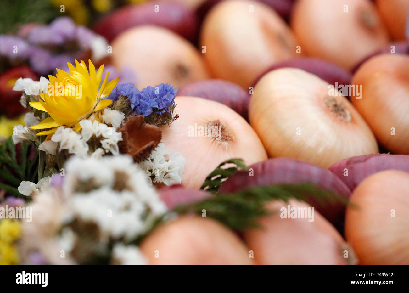 Bern, Switzerland. 26th Nov, 2018. Plaited strings of onions are ...