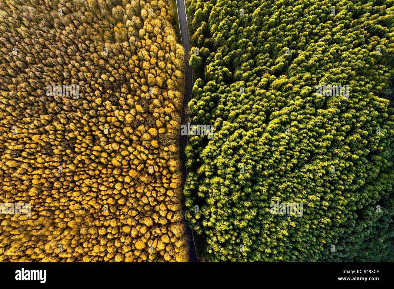 Chongqing, Chongqing, China. 26th Nov, 2018. Chongqing, CHINA-Scenery ...