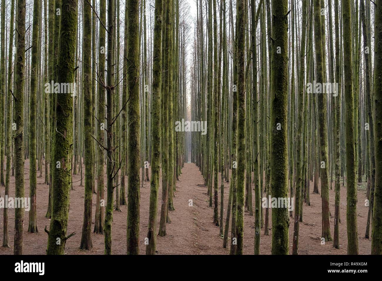 Shanwangping High Resolution Stock Photography and Images - Alamy