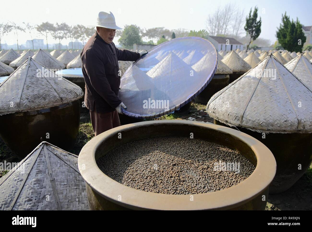 Rugao, Rugao, China. 26th Nov, 2018. Rugao, CHINA-A soy sauce brewing ...