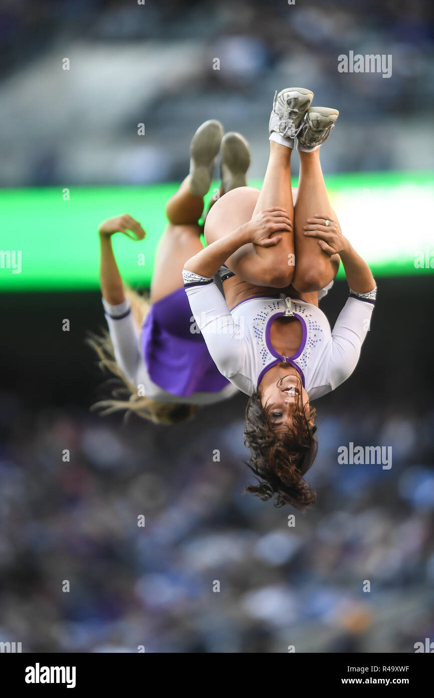 Baltimore, Maryland, USA. 26th Jan, 2016. Ravens cheerleaders perform ...