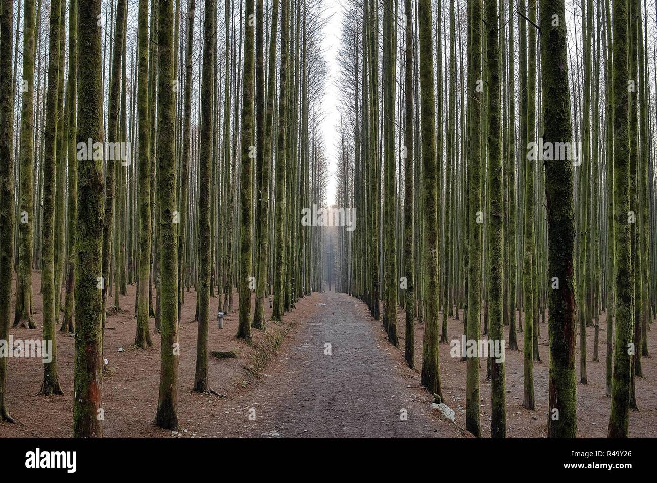 Shanwangping High Resolution Stock Photography and Images - Alamy