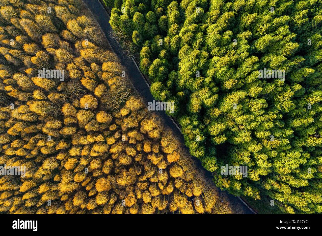 Chongqing, Chongqing, China. 26th Nov, 2018. Chongqing, CHINA-Scenery ...