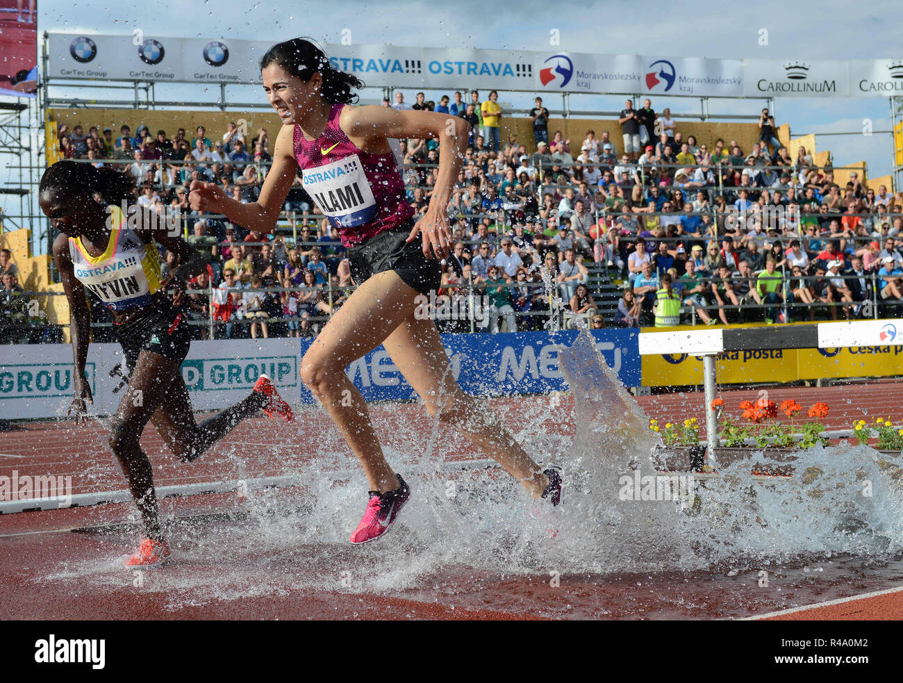 2014 women steeplechase hi-res stock photography and images - Alamy