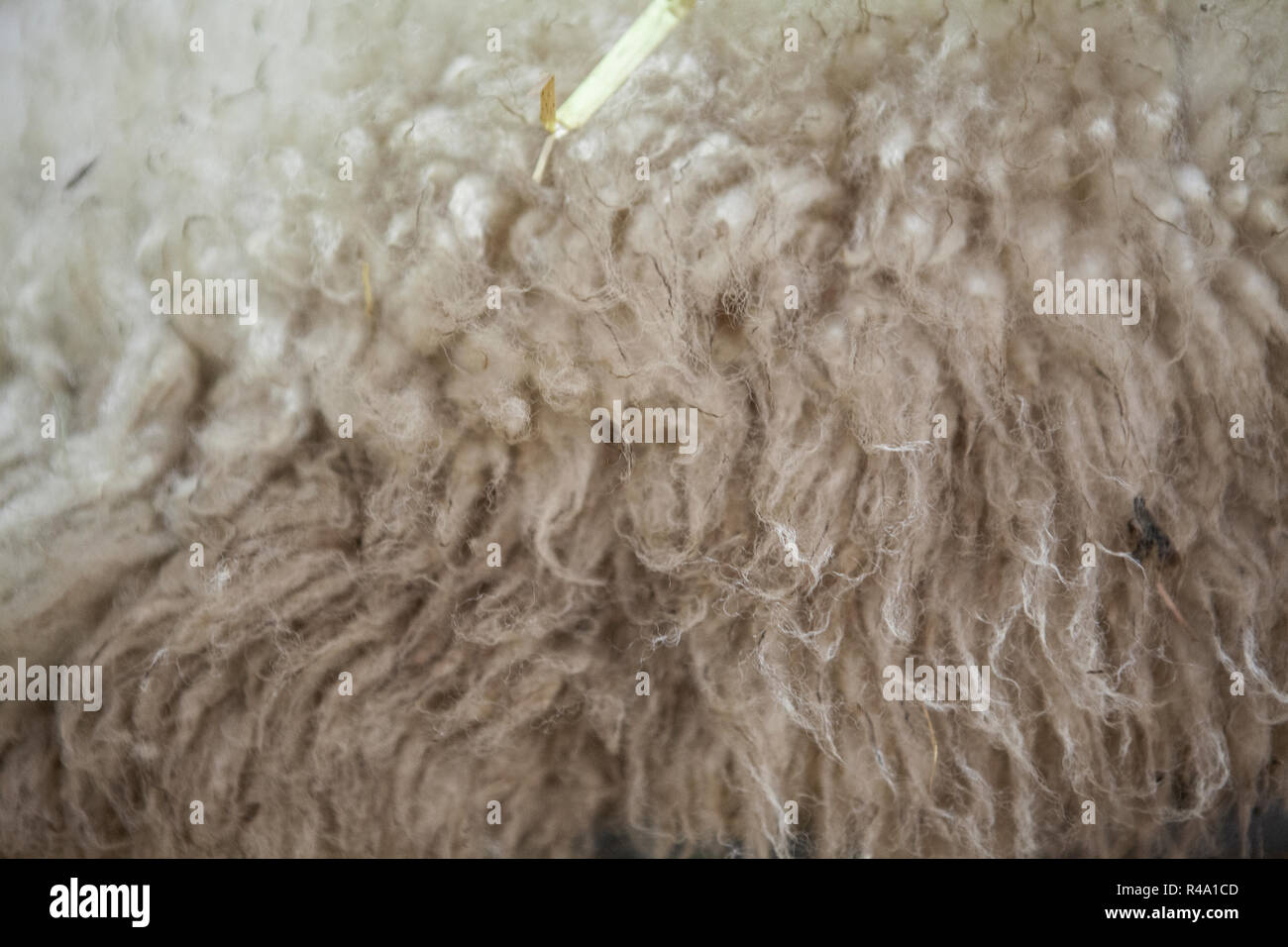 Farrmers High Resolution Stock Photography and Images - Alamy