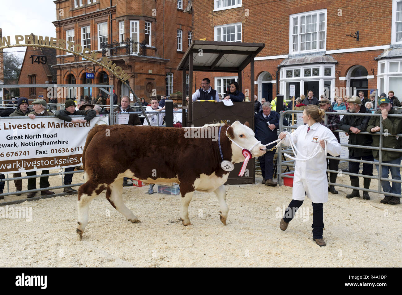 Female auctioneer hi-res stock photography and images - Alamy
