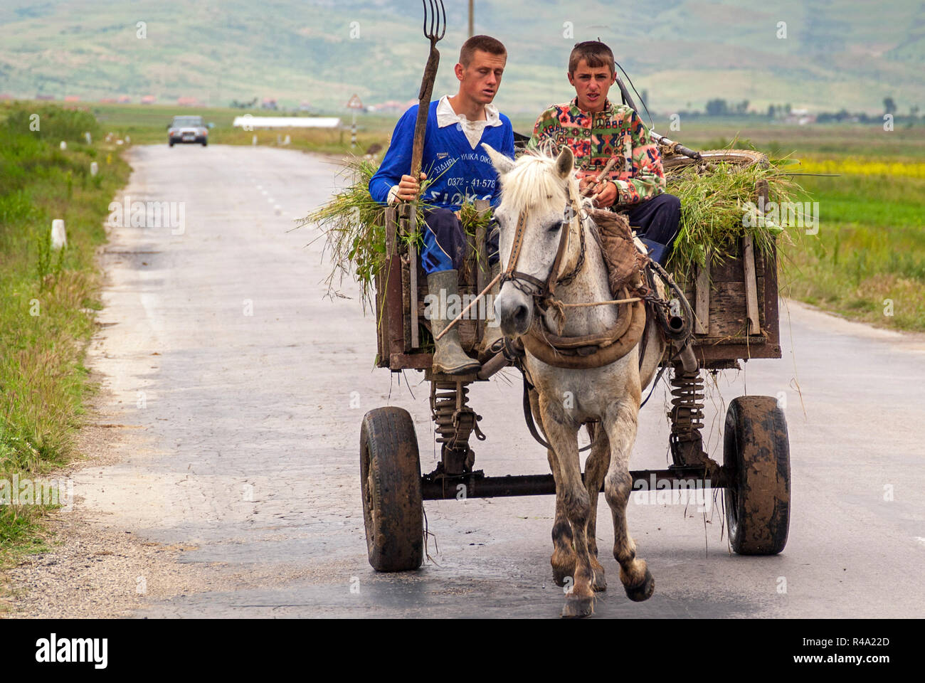 Albanian farmer with horse and cart, Korce, Albania Stock Photo - Alamy