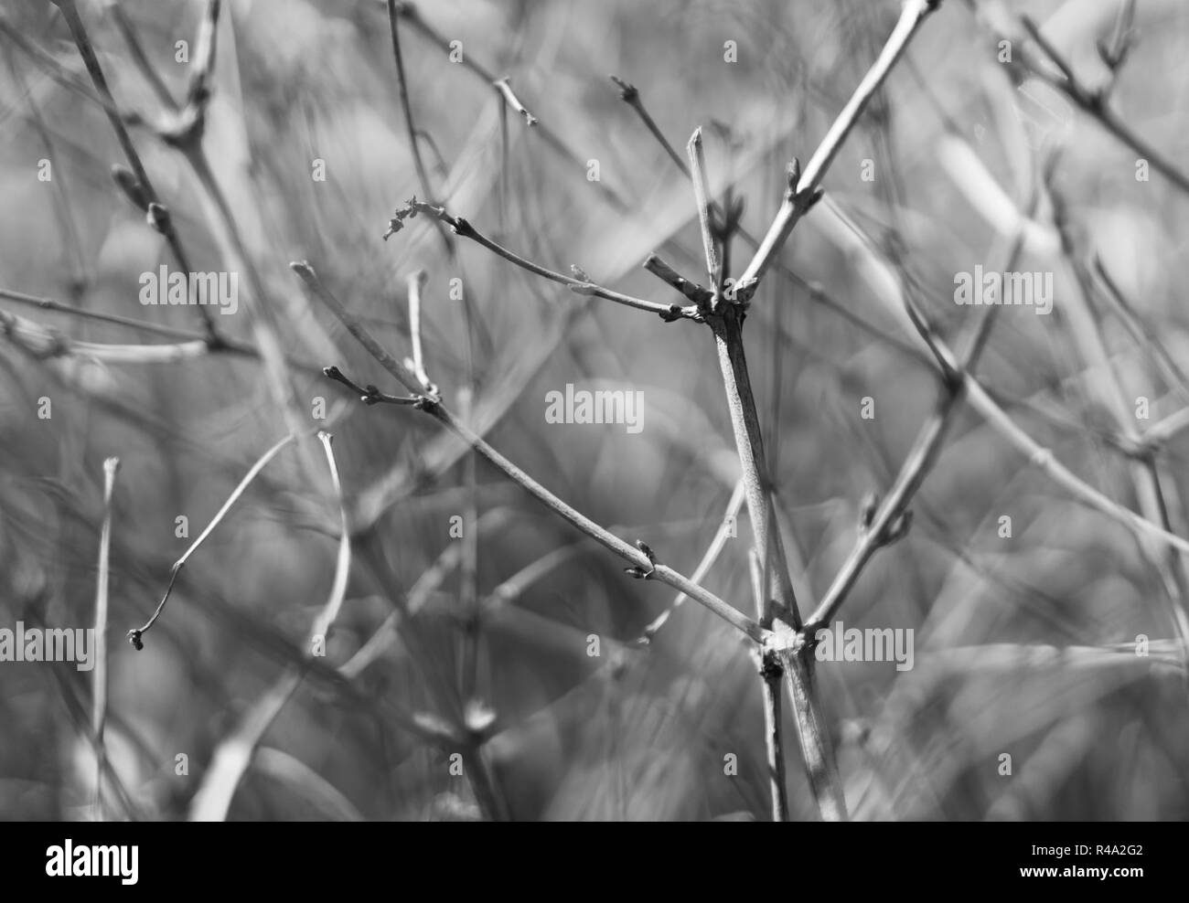 Vibrant location Black and White Stock Photos & Images - Alamy