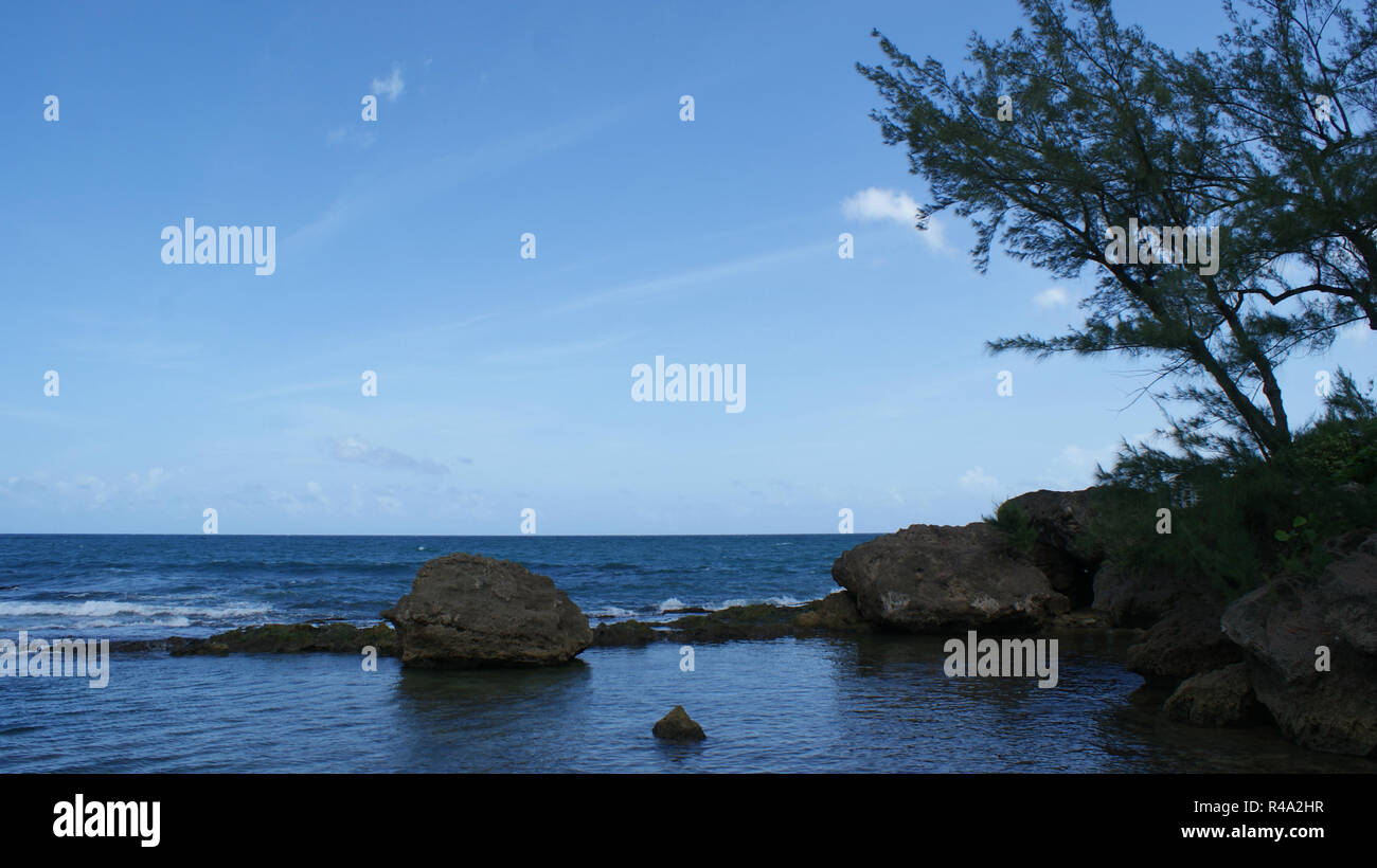 Clear and nice nature of Puerto Rico Stock Photo - Alamy
