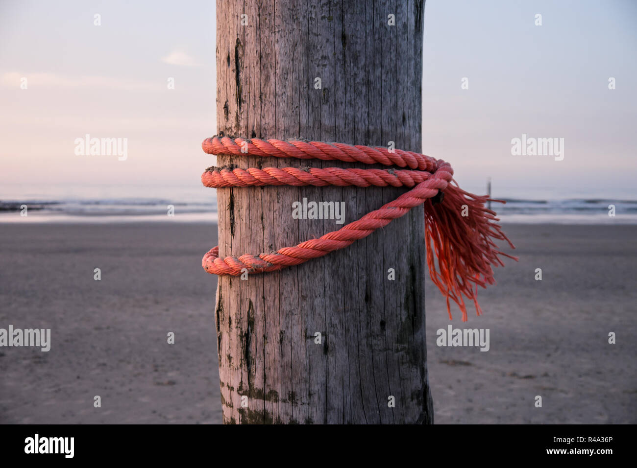 rope on stake Stock Photo - Alamy