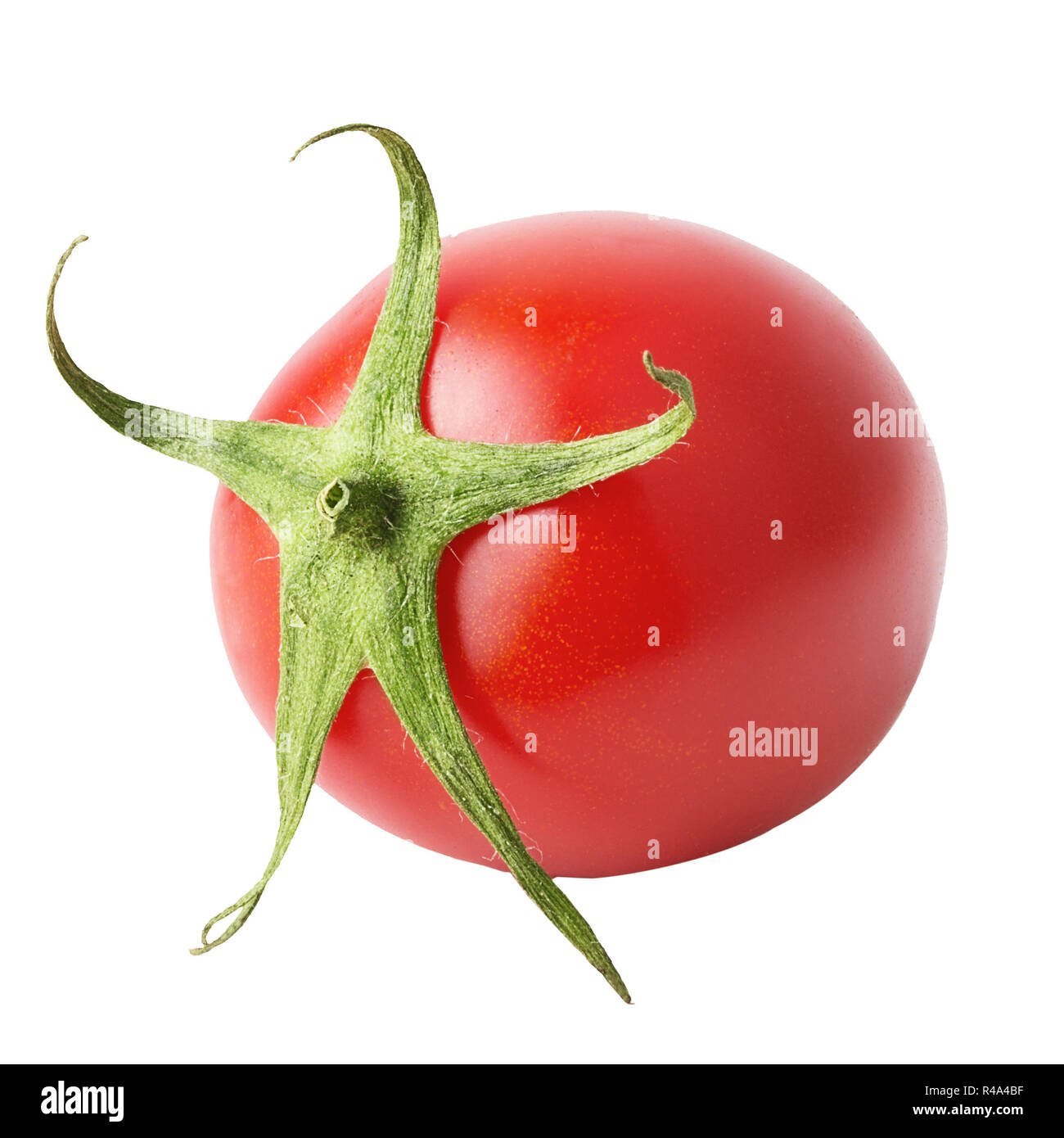 One tomato isolated on white background with clipping path as package ...