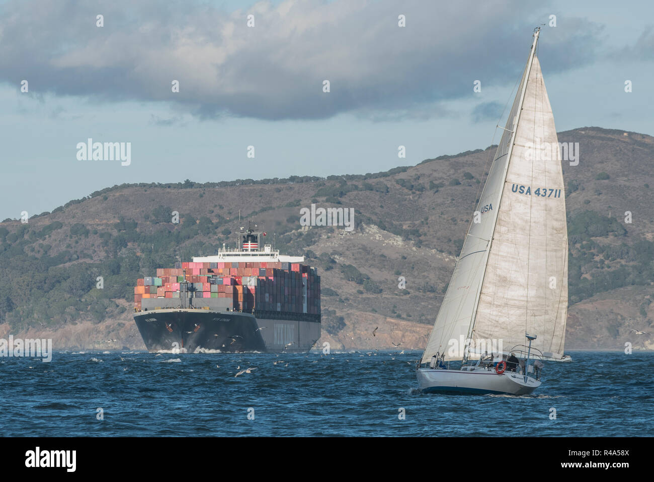 a sailboat and shipping freighter, a cargo ship, pass each other on the ...