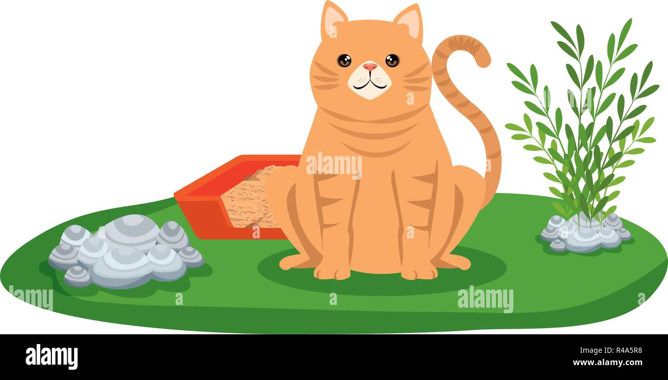 cute cat with sandbox in the grass vector illustration design Stock ...