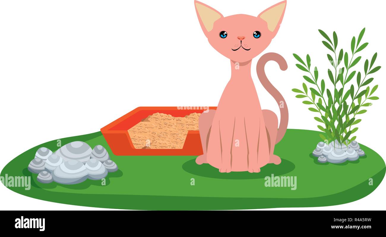 cute cat with sandbox in the grass vector illustration design Stock ...