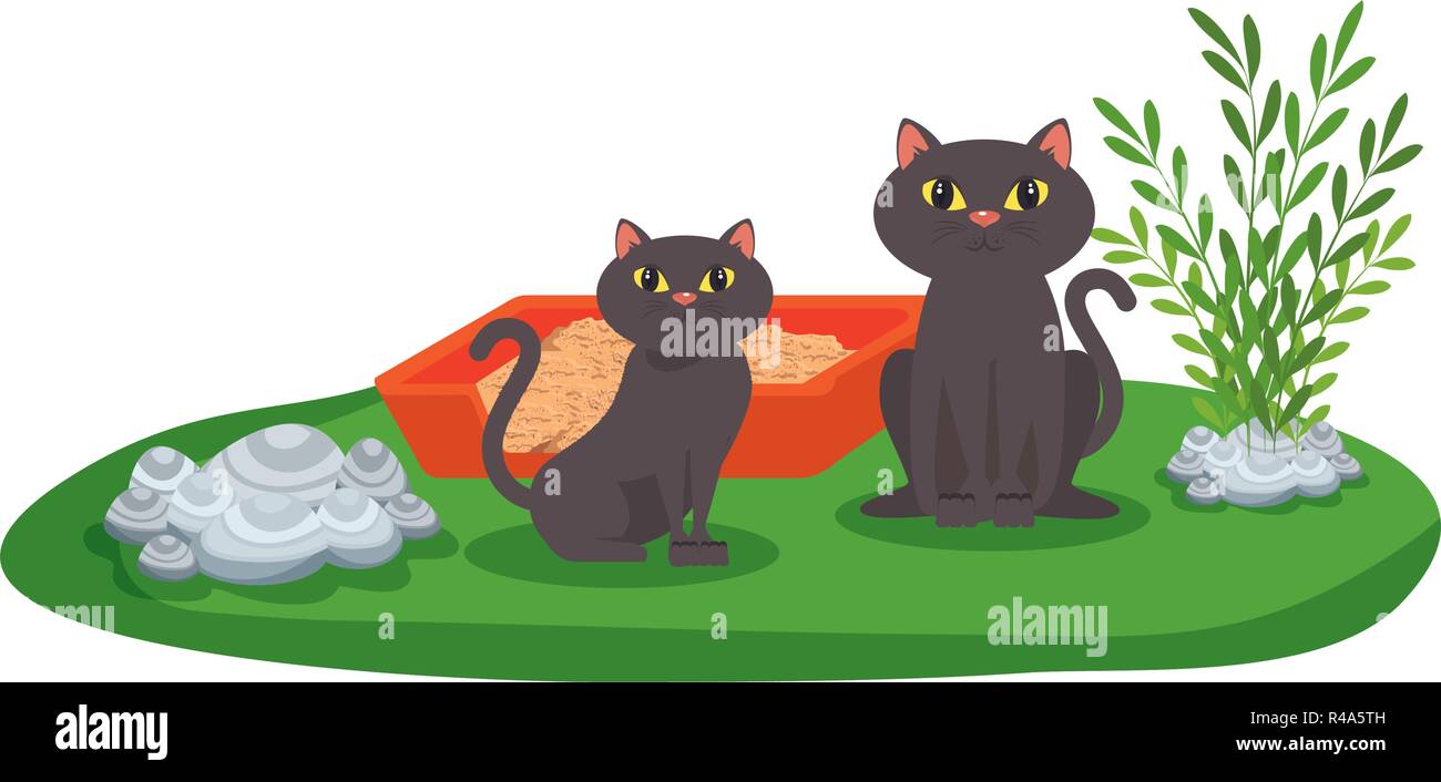 cute cats with sandbox in the grass vector illustration design Stock ...