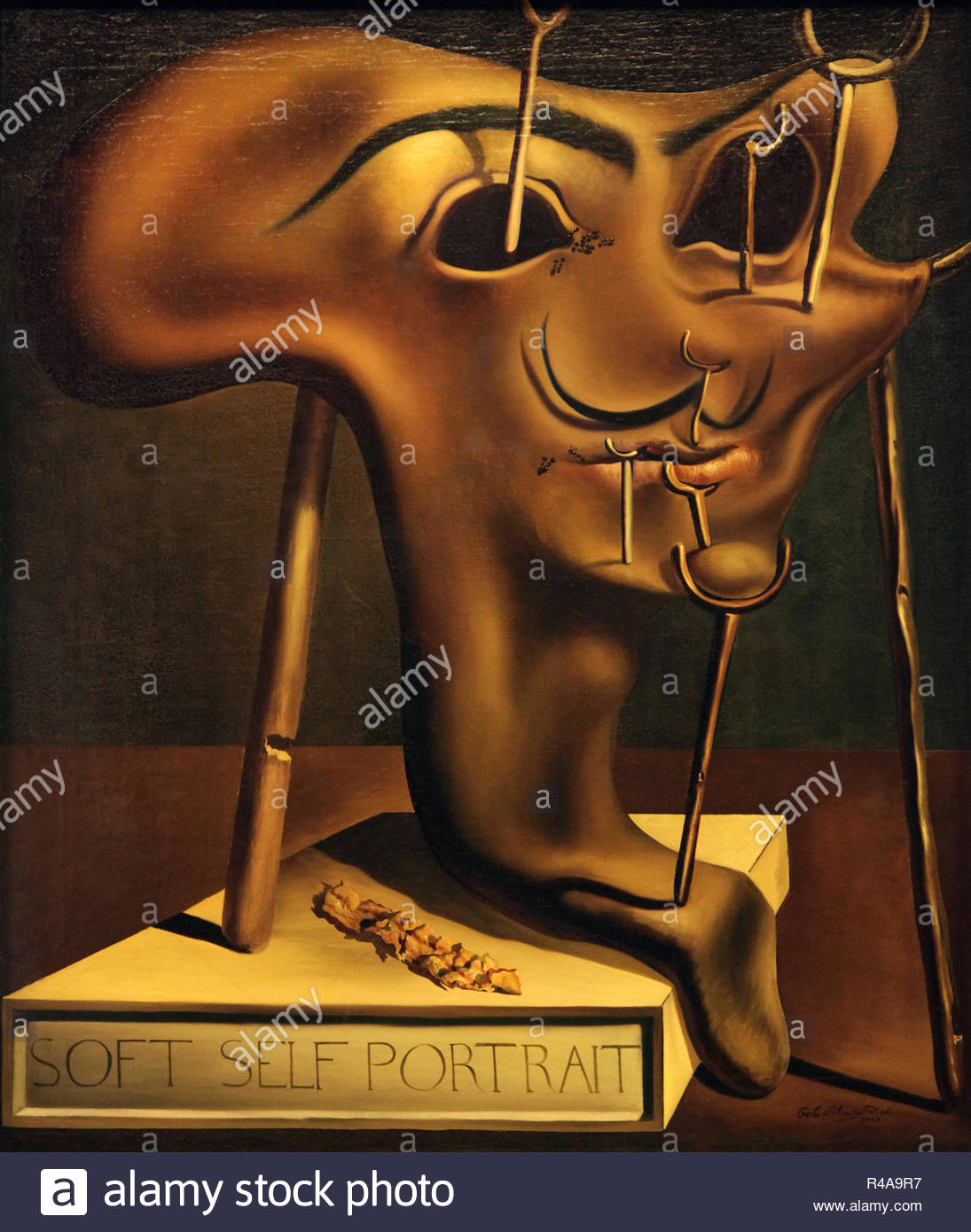 Salvador Dali Portrait Stock Photos & Salvador Dali Portrait Stock ...