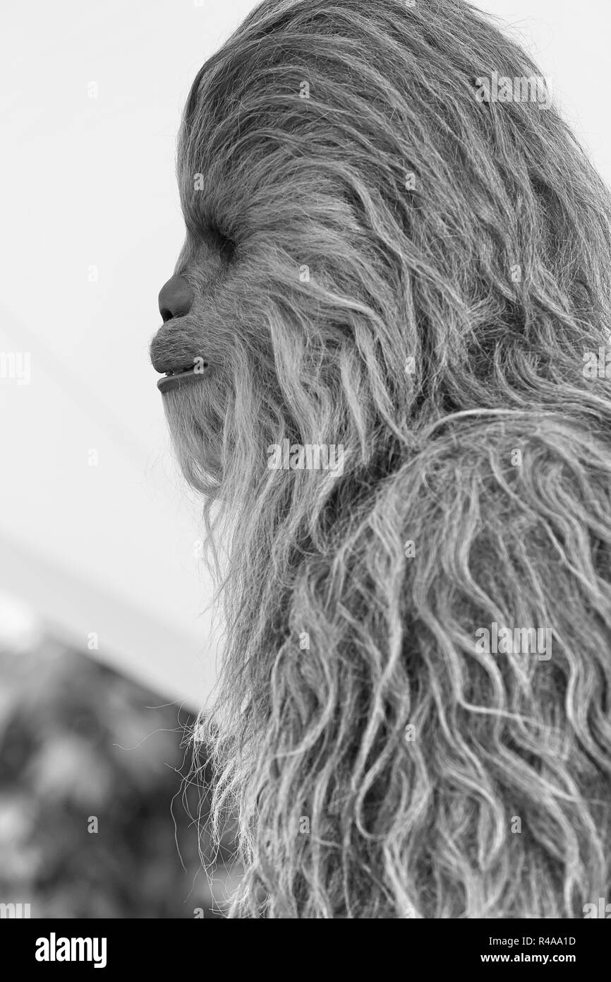 Wookie Black And White