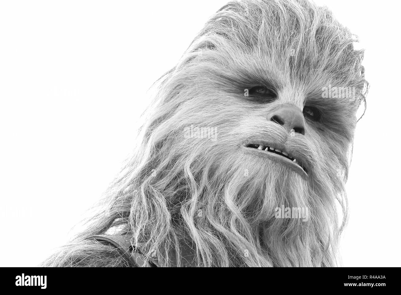 Chewbacca solo photocall Black and White Stock Photos & Images - Alamy