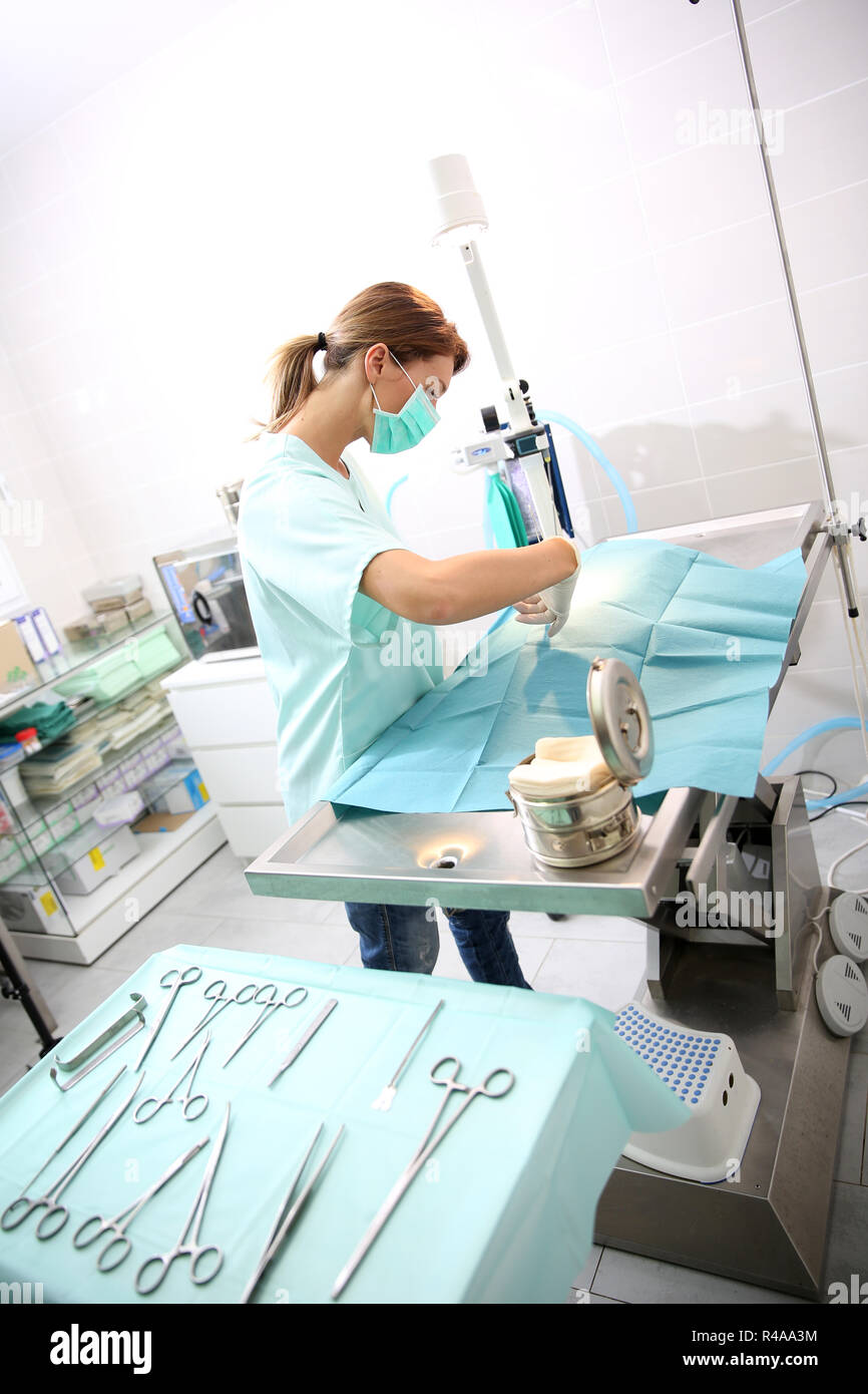 Veterinarian doing surgery on animal Stock Photo - Alamy
