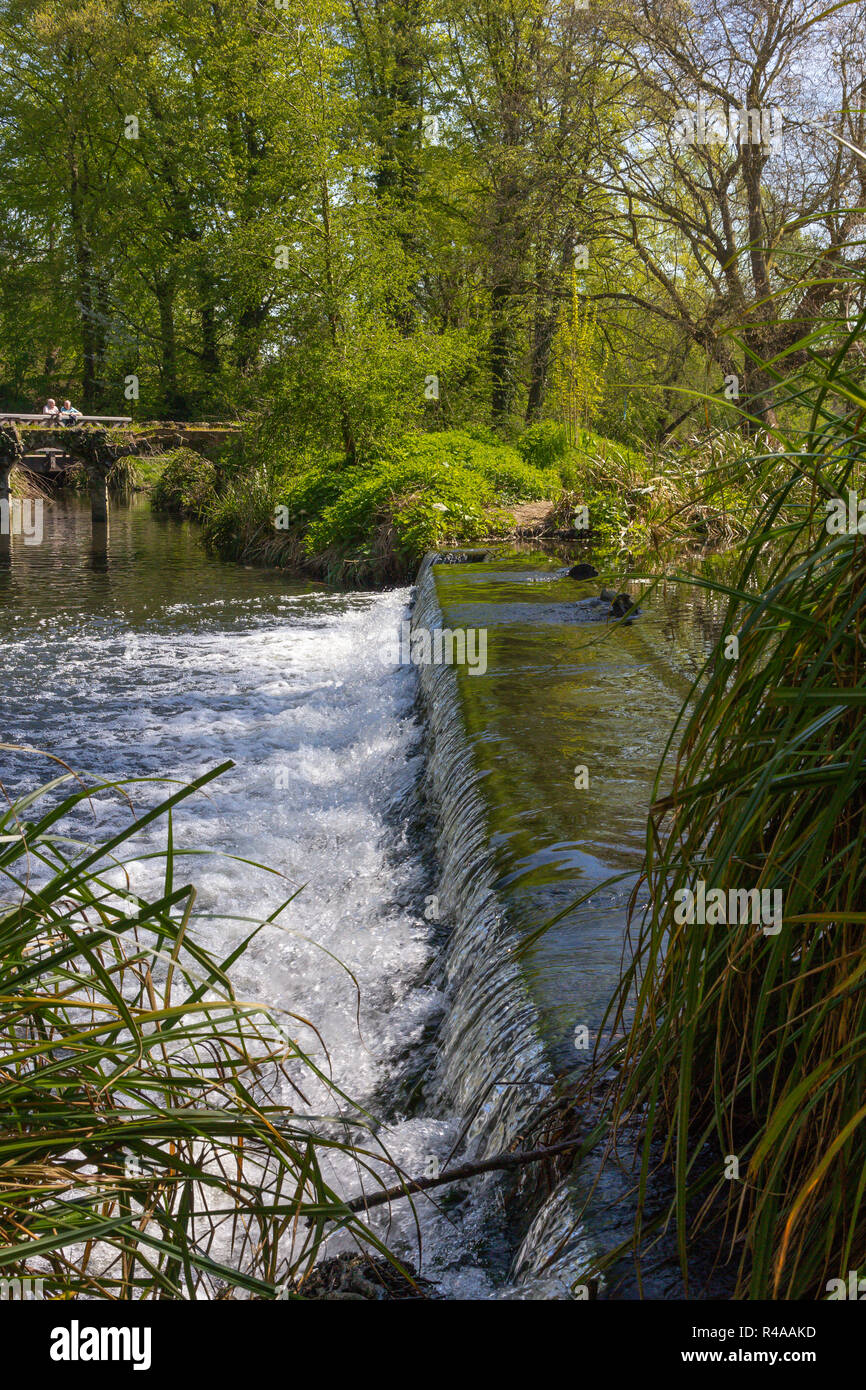 MORDEN, LONDON, ENGLAND - APRIL 19 2018: River Wandle flowing through ...
