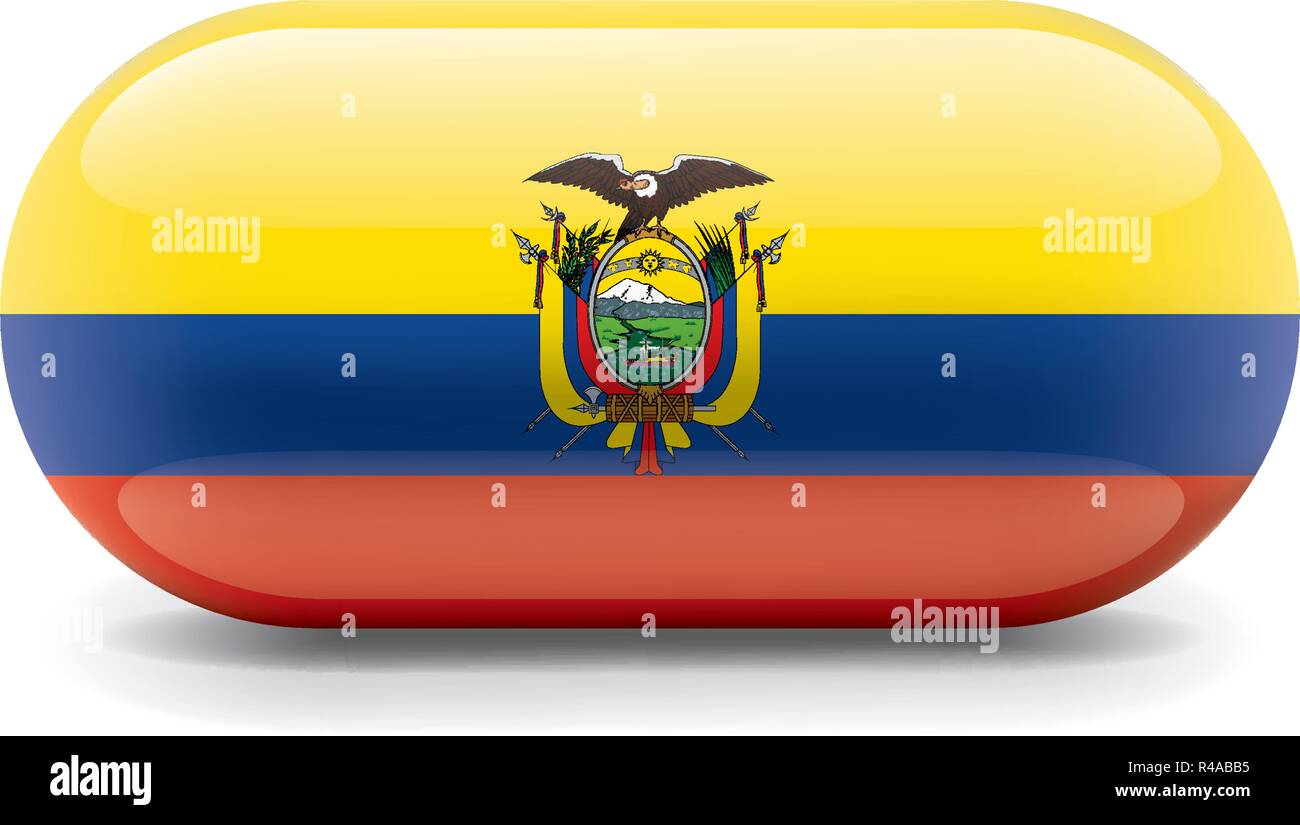 Ecuador national flag, vector illustration on a white background Stock ...