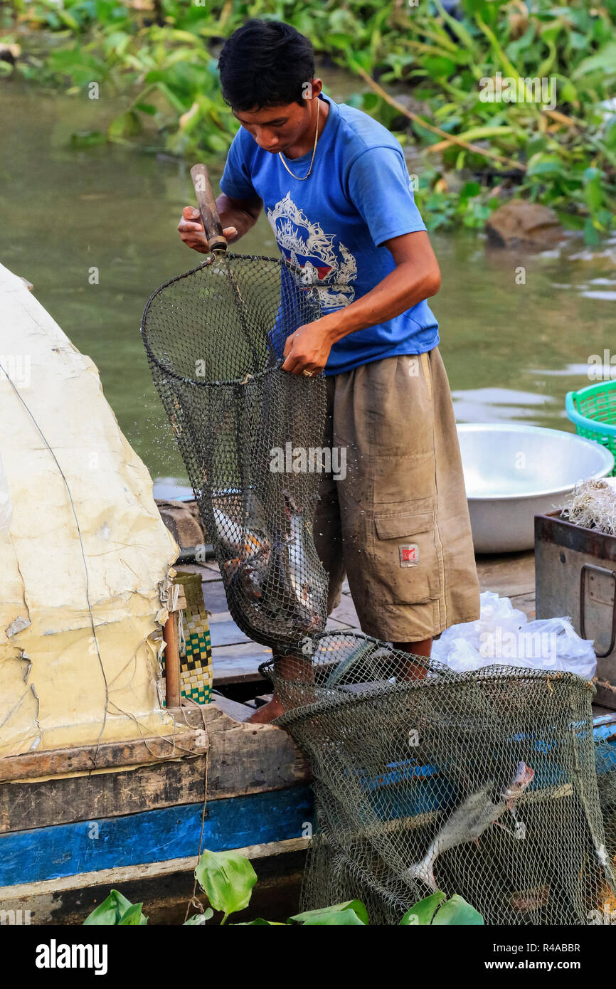 Cambodia mekong catfish hi-res stock photography and images - Alamy