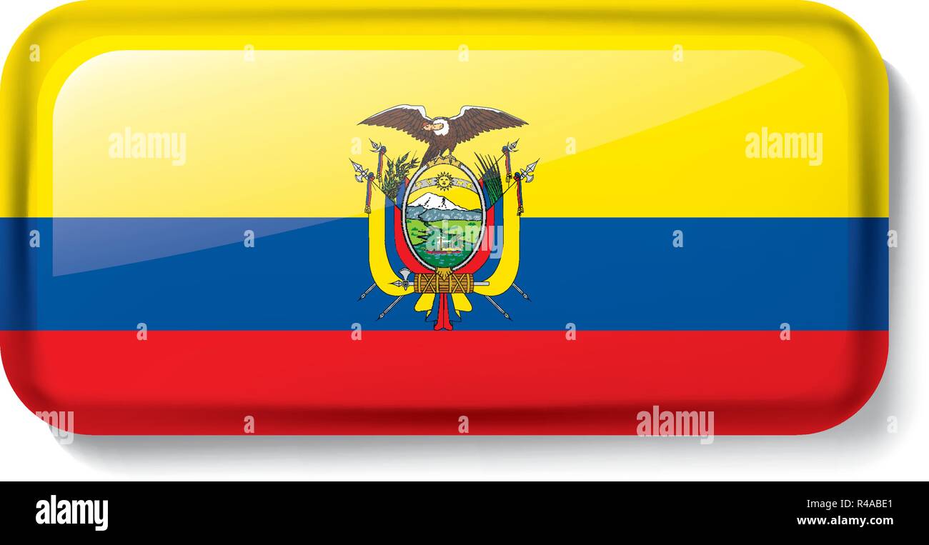 Ecuador national flag, vector illustration on a white background Stock ...