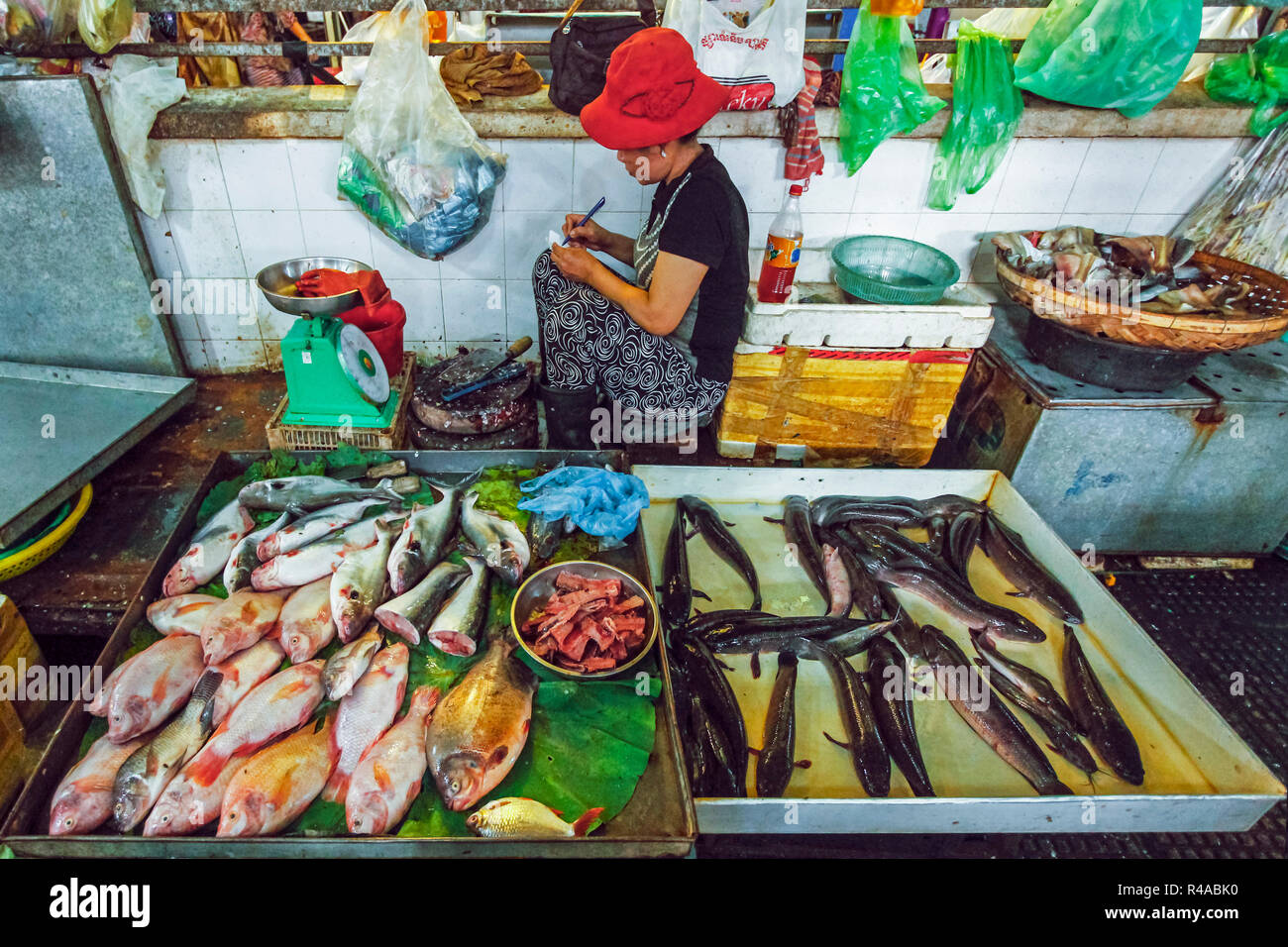 Live catfish hi-res stock photography and images - Alamy