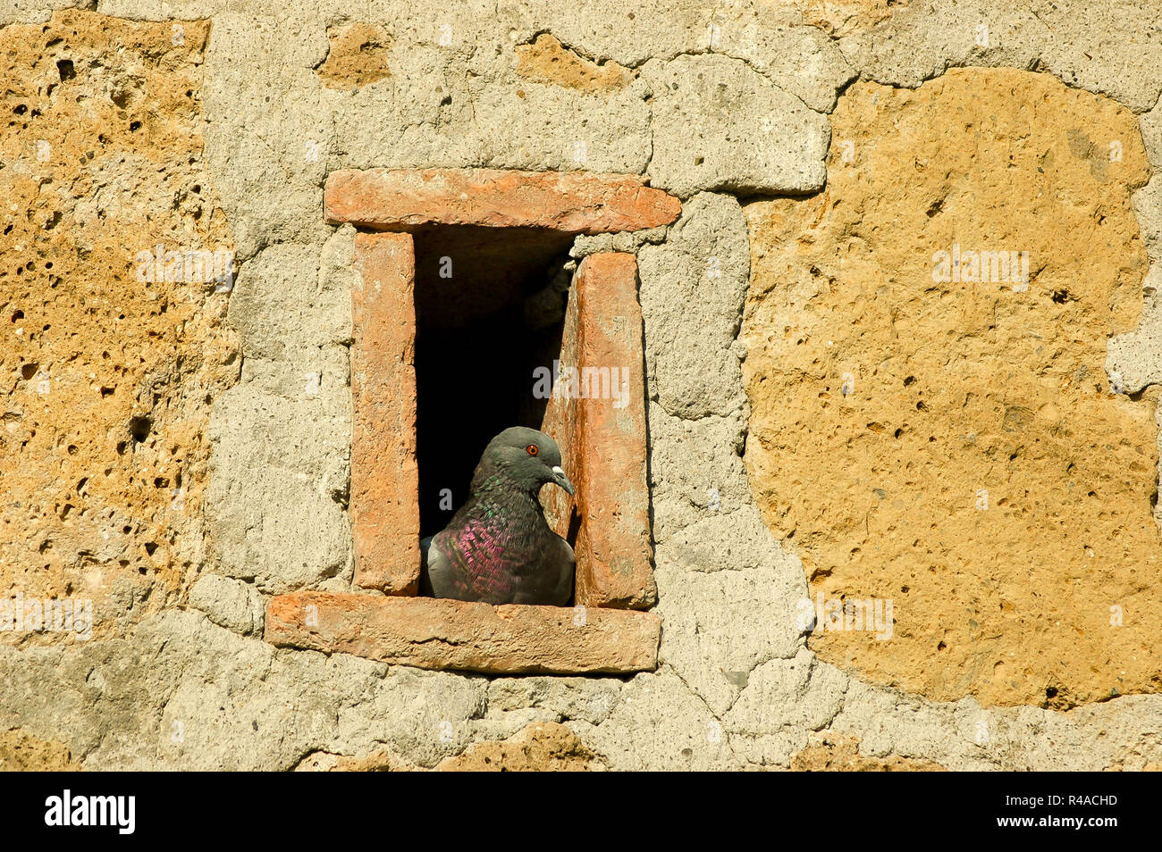 Pidgeon hole hi-res stock photography and images - Alamy