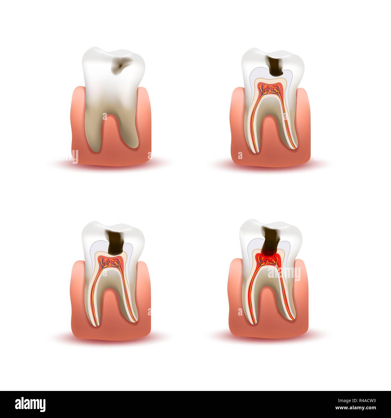 Infographic human in stages Stock Vector Images - Alamy