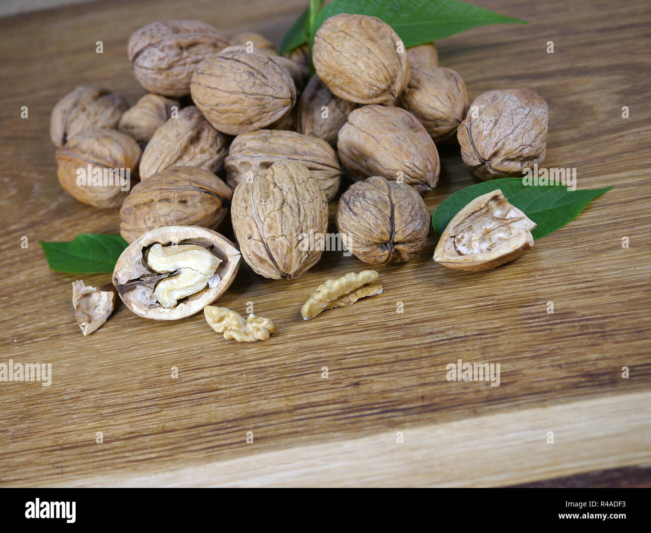 Walnut tree leaves hi-res stock photography and images - Alamy