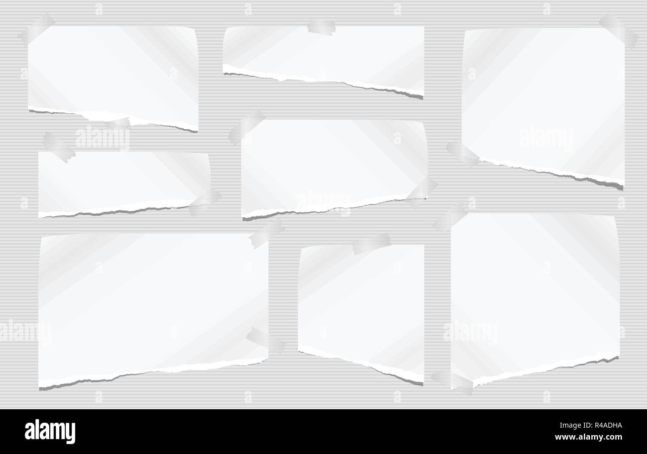 White ripped notebook paper, torn note paper strips stuck on grey lined ...