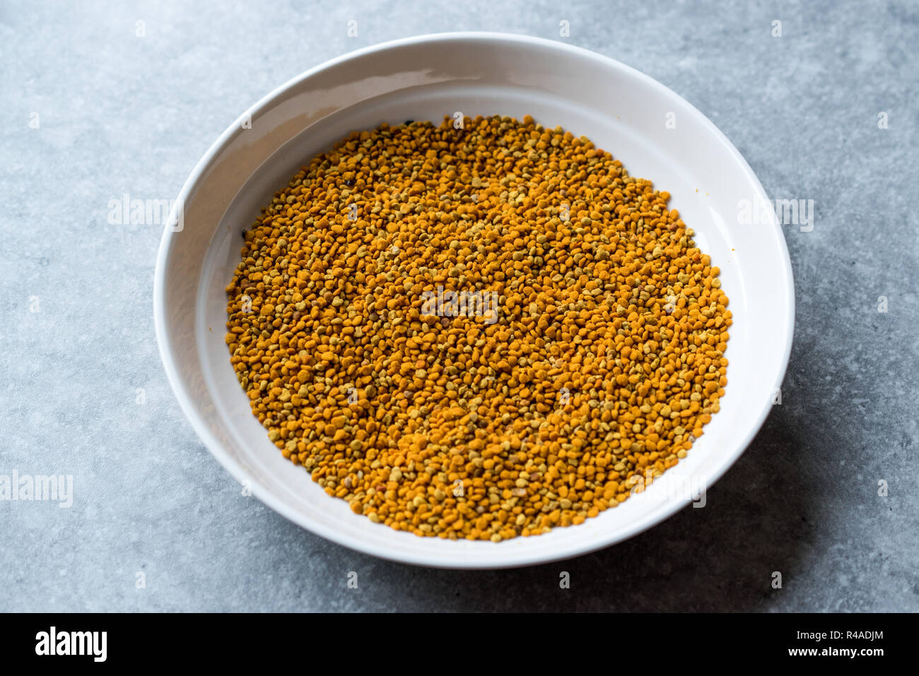 Plant pollen microscopic hi-res stock photography and images - Alamy