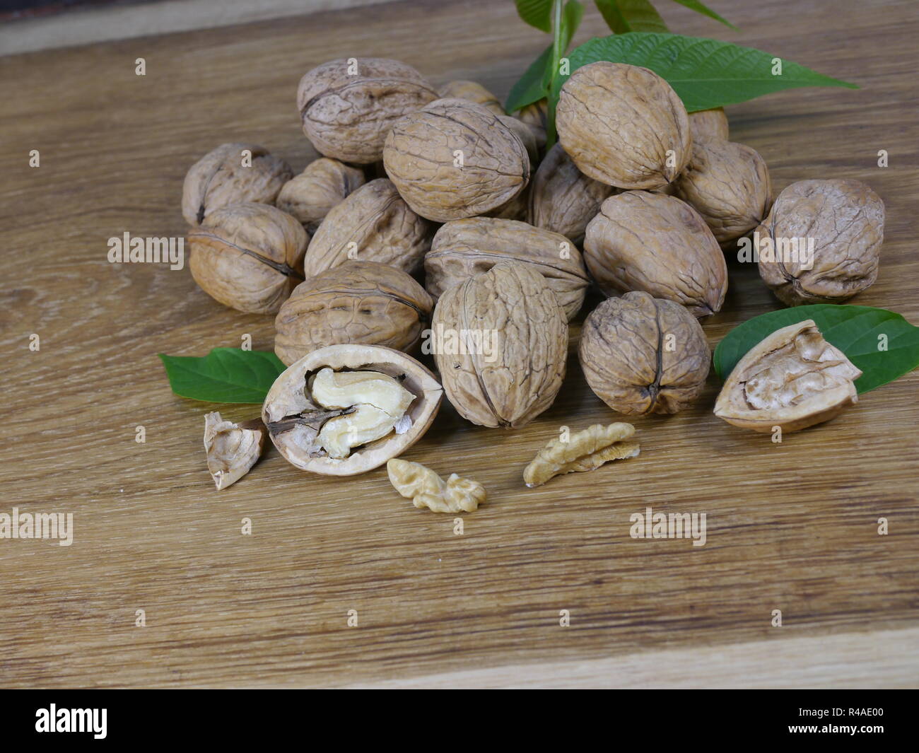 Walnut tree leaves hi-res stock photography and images - Alamy