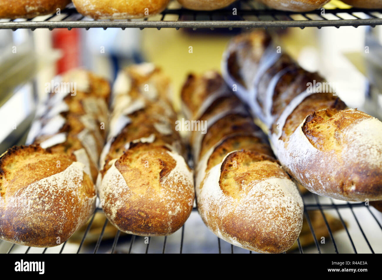 French bread in bakery - Seine Saint-Denis - France Stock Photo - Alamy