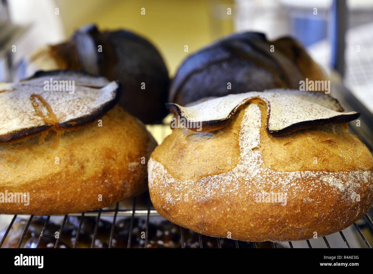 French bread in bakery - Seine Saint-Denis - France Stock Photo - Alamy
