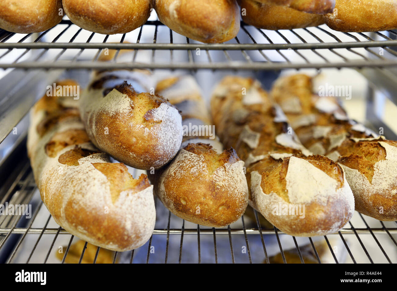 French bread in bakery - Seine Saint-Denis - France Stock Photo - Alamy
