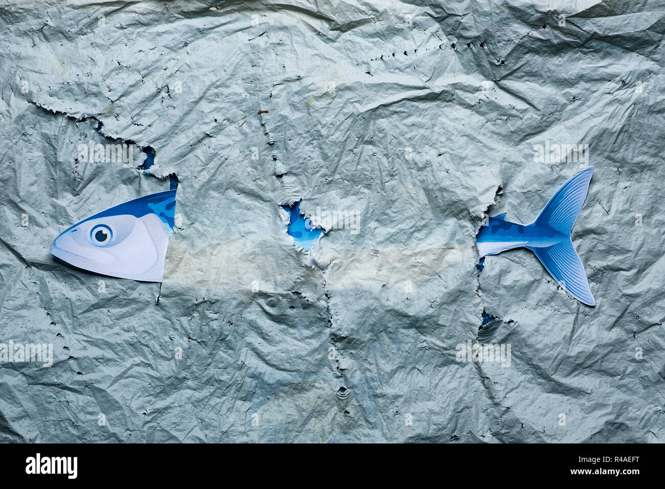 Plastic sheet pollution hi-res stock photography and images - Alamy