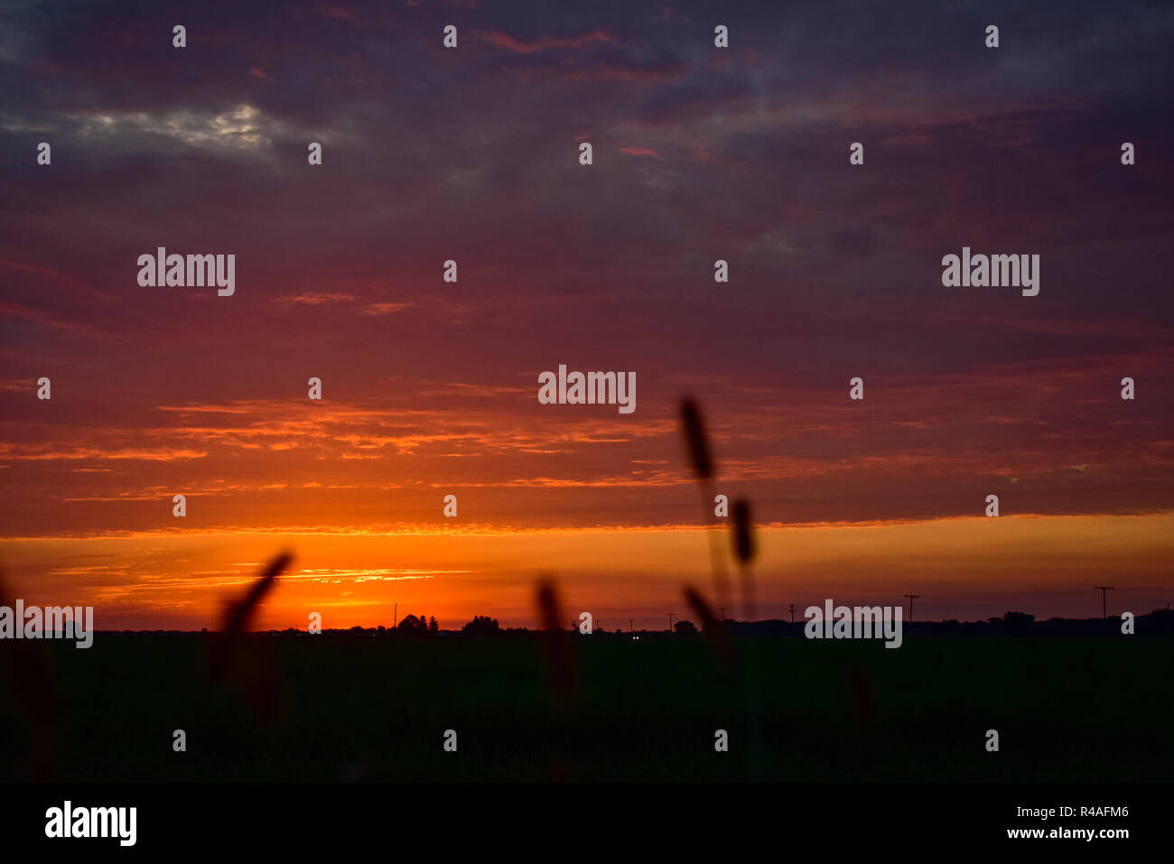 Agriculture in michigan hi-res stock photography and images - Alamy