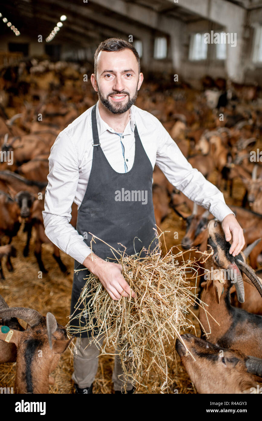 Man feeding sheep hi-res stock photography and images - Alamy