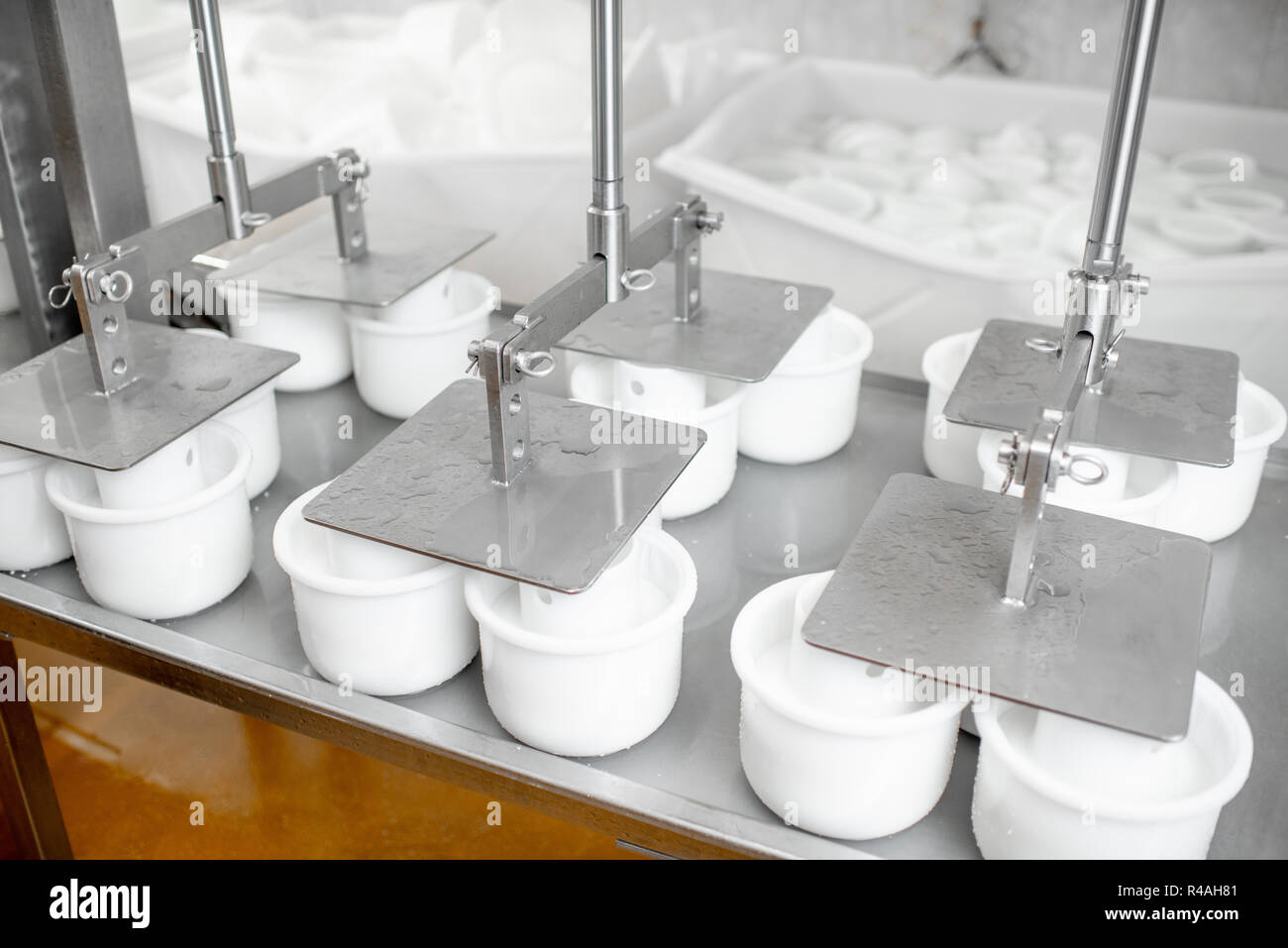 Pressing cheese in the plastic molds with professional press machine at ...